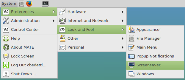 Working with VNC server - VilleneuveLab Documentation